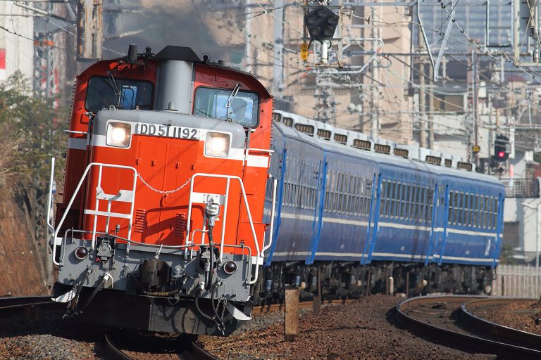 DD51 | 貨物列車と機関車の写真館