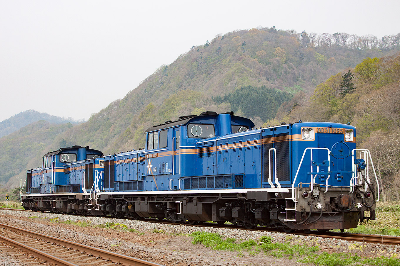 DD51 1095 | 貨物列車と機関車の写真館