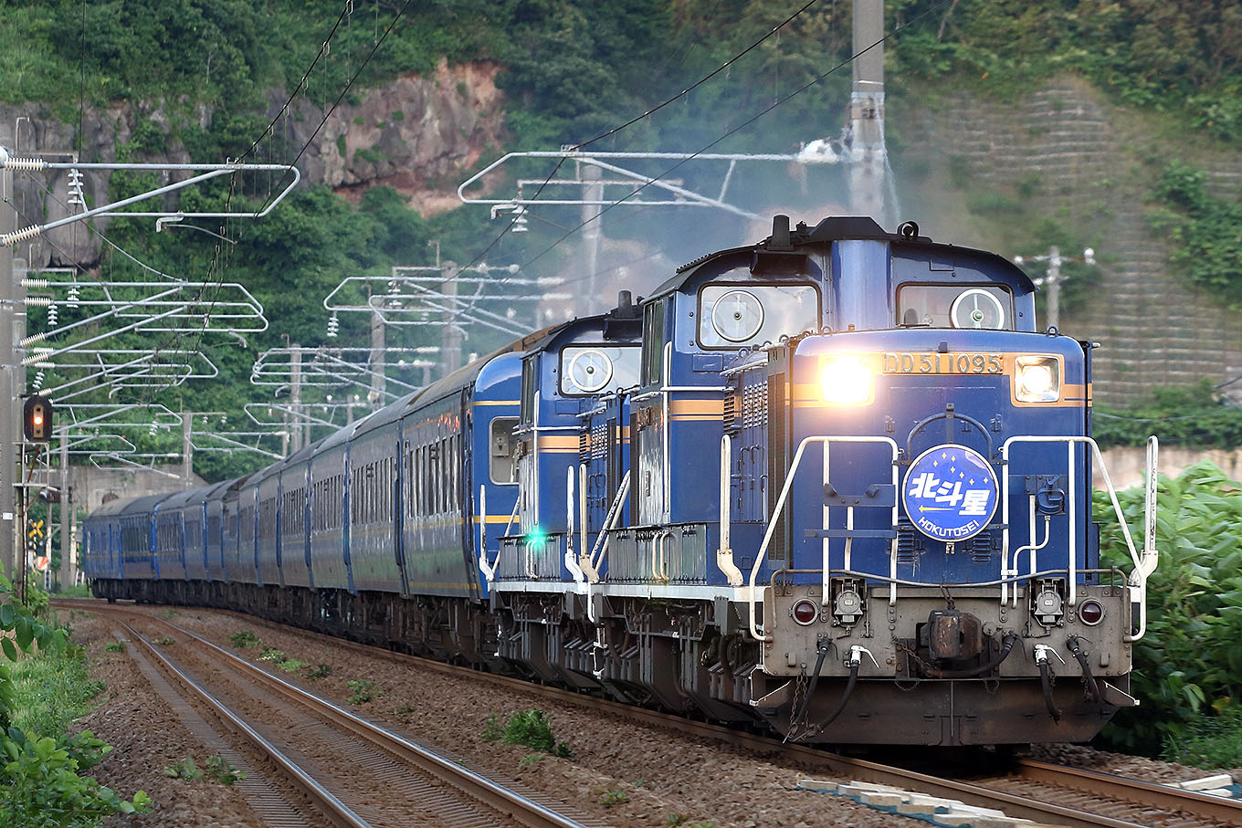 DD51 1095 | 貨物列車と機関車の写真館