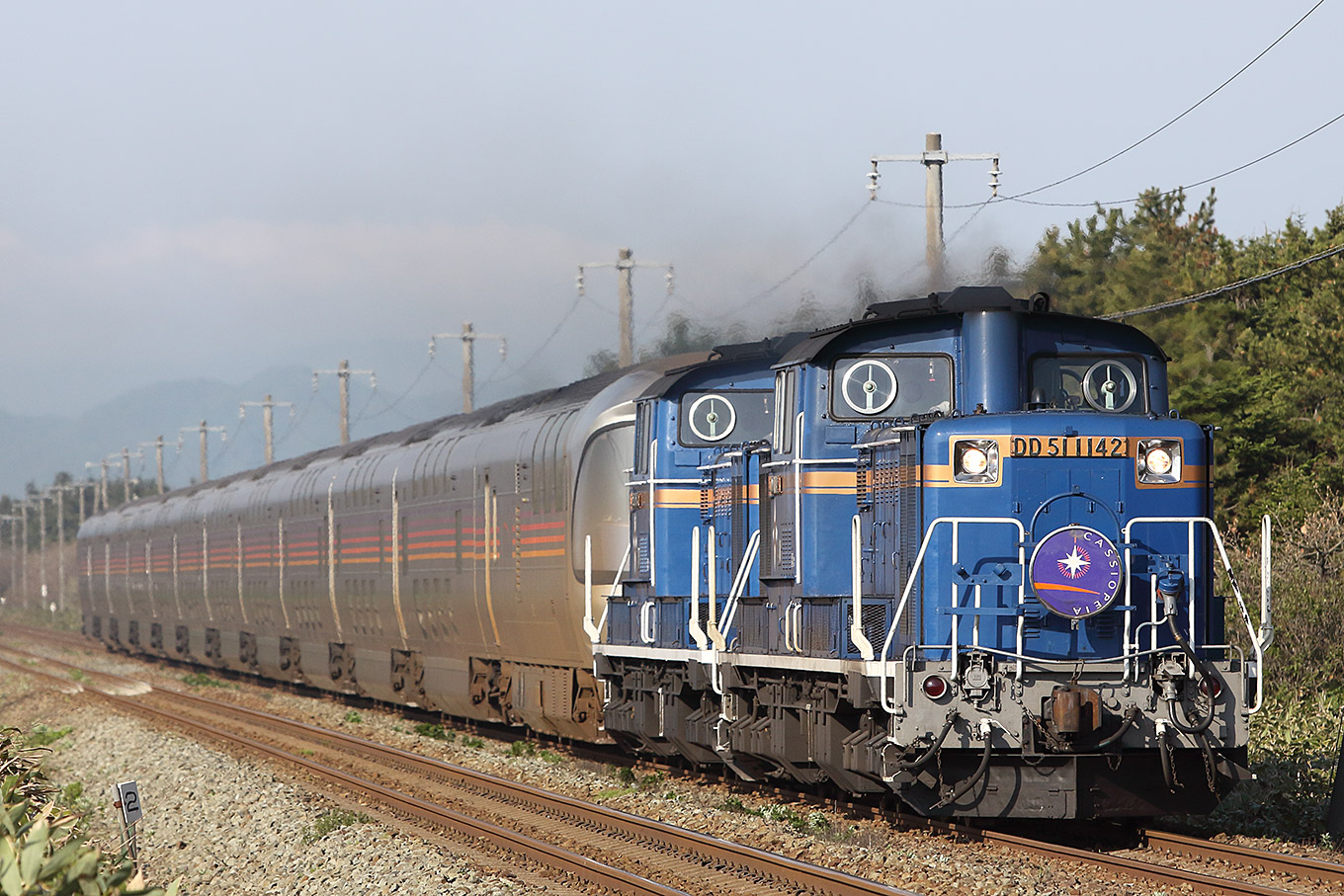 DD51 1142 | 貨物列車と機関車の写真館