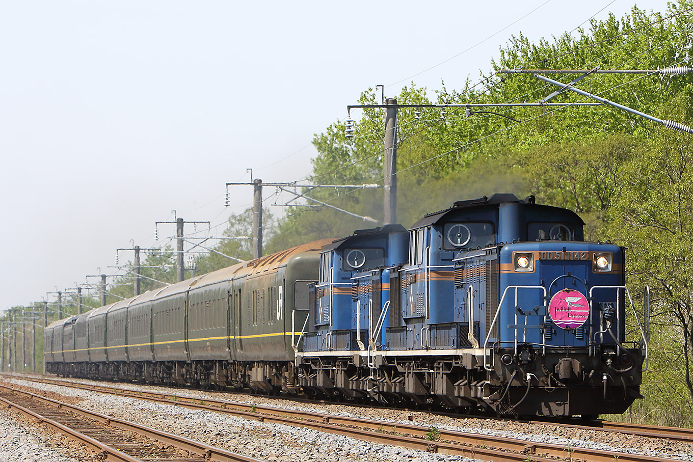DD51 1142 | 貨物列車と機関車の写真館