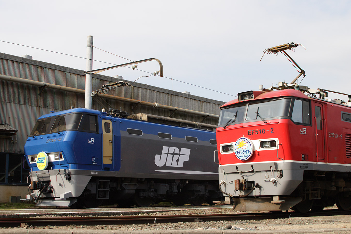 EF510 2 | 貨物列車と機関車の写真館