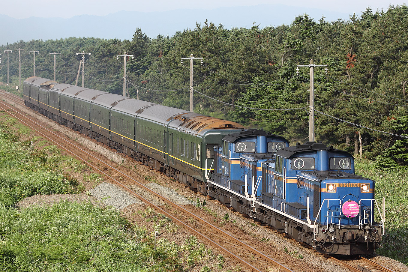 DD51 1100 | 貨物列車と機関車の写真館