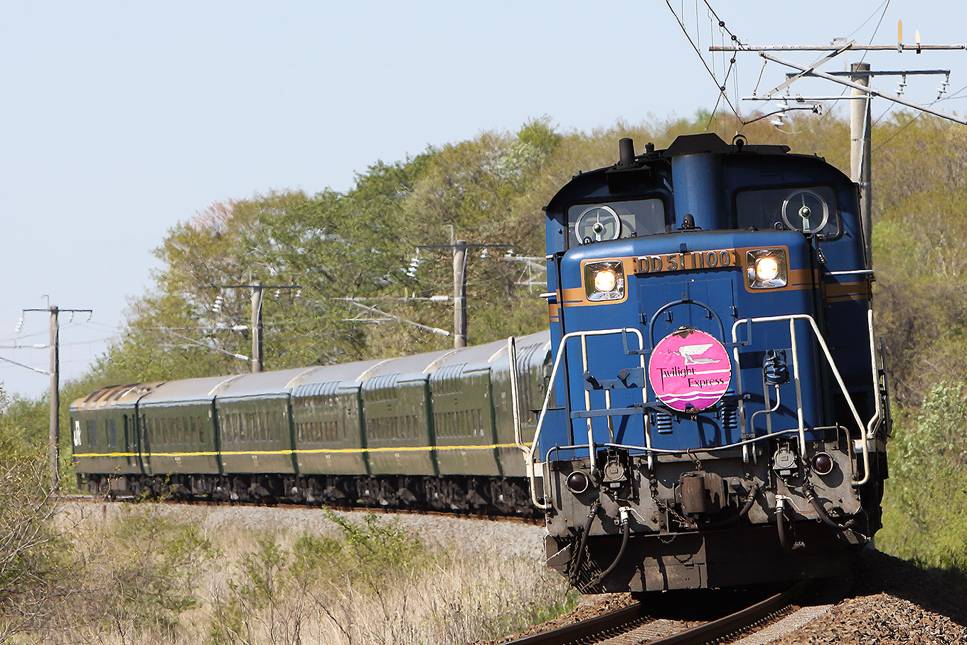 DD51 1100 | 貨物列車と機関車の写真館