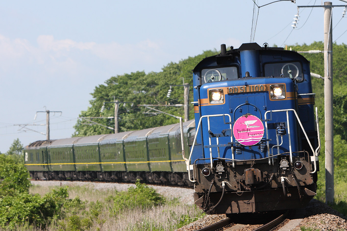 DD51 1100 | 貨物列車と機関車の写真館