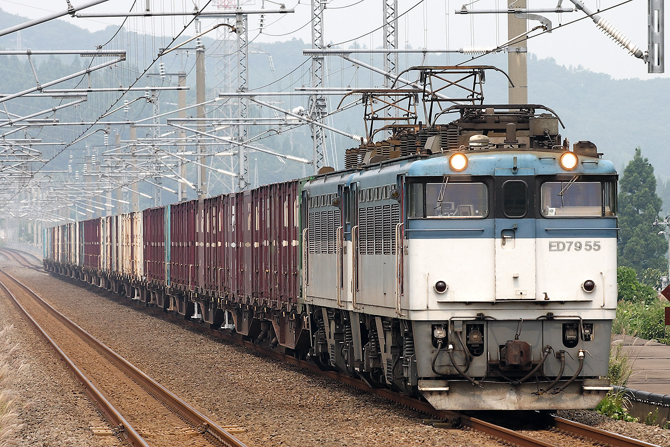 ED79 55 | 貨物列車と機関車の写真館