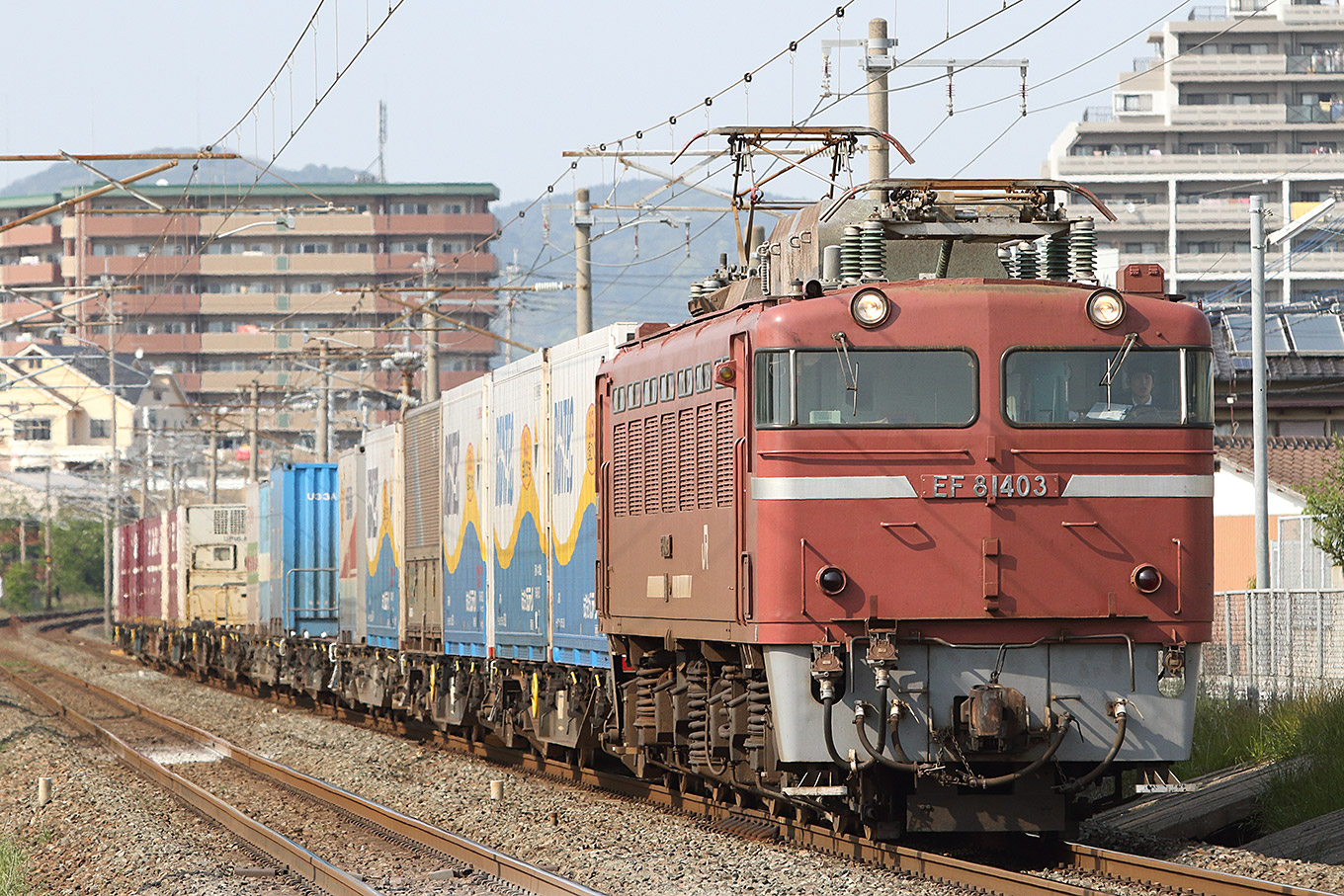 EF81 403 | 貨物列車と機関車の写真館