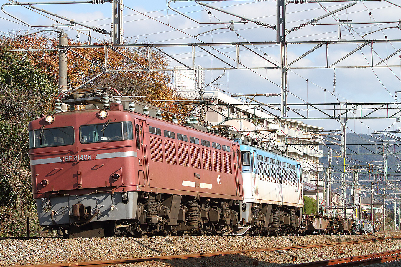 EF81 406 | 貨物列車と機関車の写真館