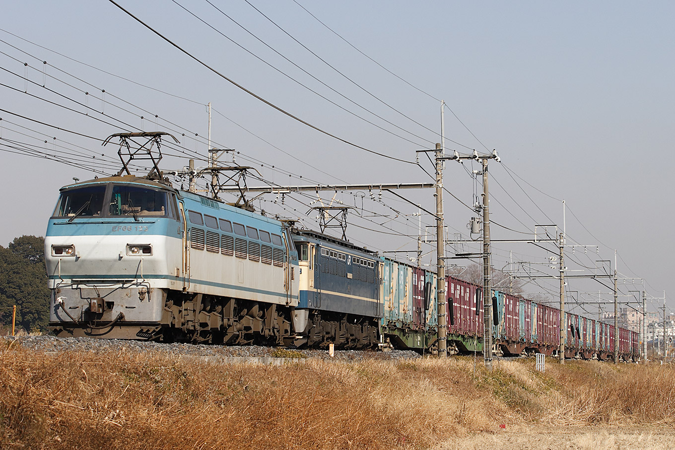 EF66 123 | 貨物列車と機関車の写真館