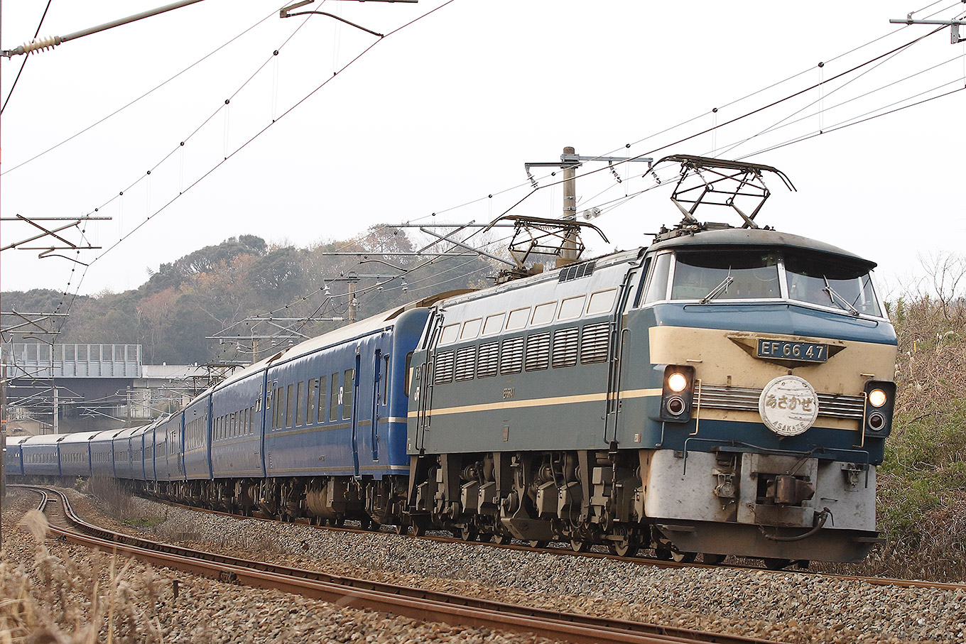 EF66 47 | 貨物列車と機関車の写真館