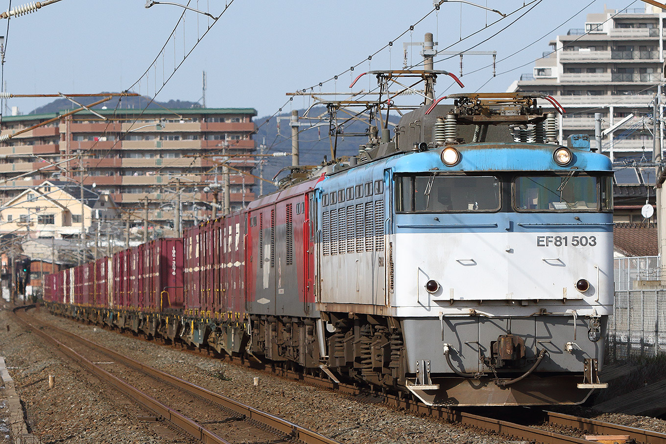 EF81 503 | 貨物列車と機関車の写真館